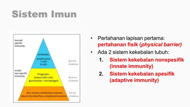 immunologi manusia.pptx