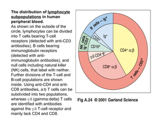 Immunology | PPT