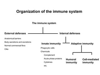 Immunology | PPT