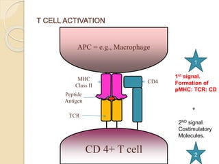 Immunology | PPT