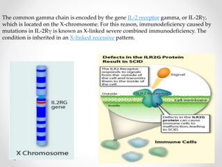 severe combined immunodeficiency | PPTX