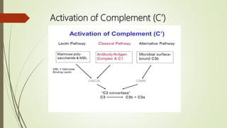 effector mechanism of humoral immunity | PPTX