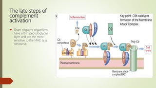 effector mechanism of humoral immunity | PPTX