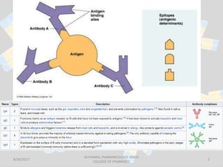 UPDATE ON THE USE OF IMMUNOGLOBULIN IN HUMAN DISEASE: A REVIEW OF ...