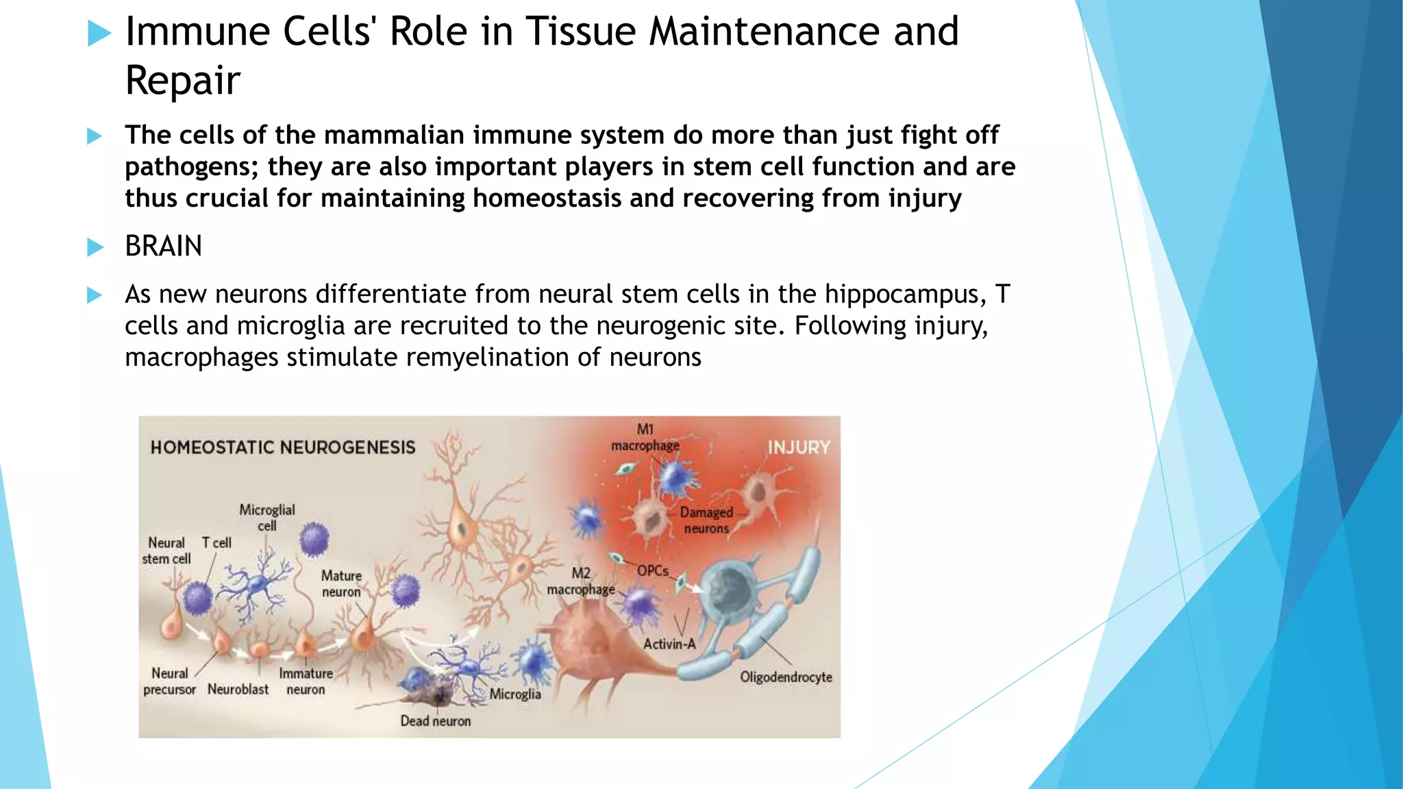 Behavioral Immunology | PPTX