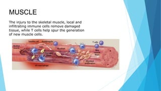 Behavioral Immunology | PPTX