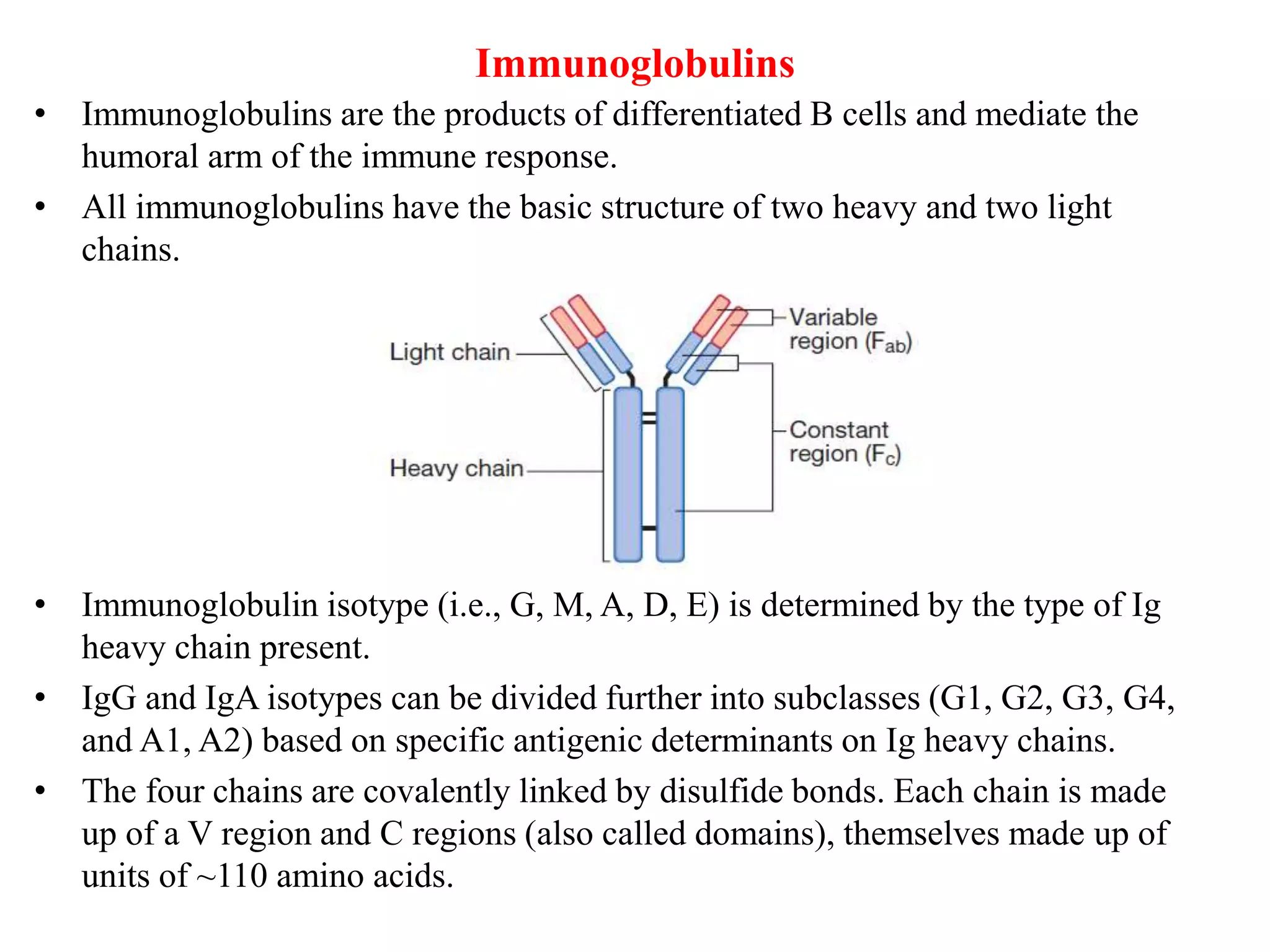 Immunology | PPTX