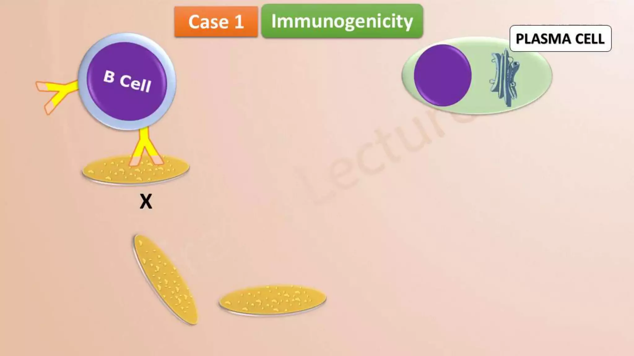 Immunology | PPT
