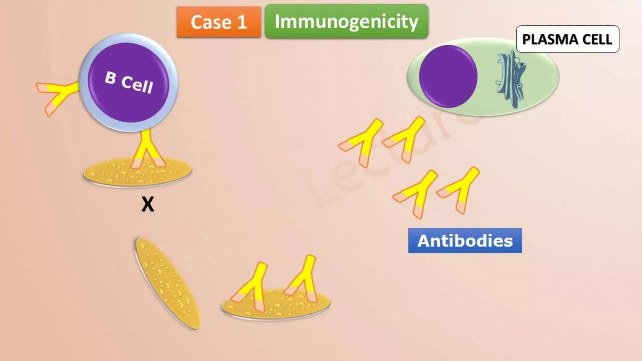 Immunology | PPT