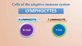 Immunology | PPT