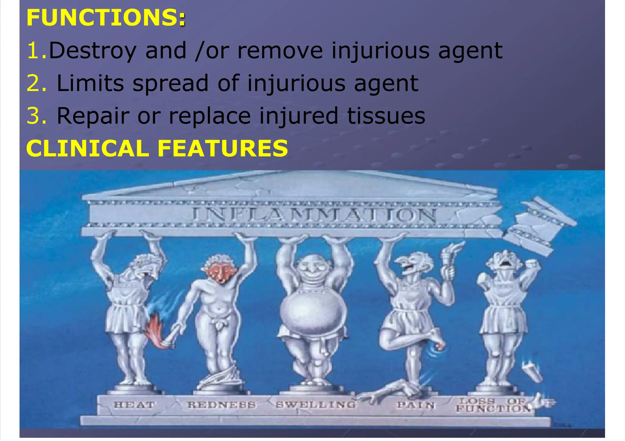 immuned system s in humans beings | PPT