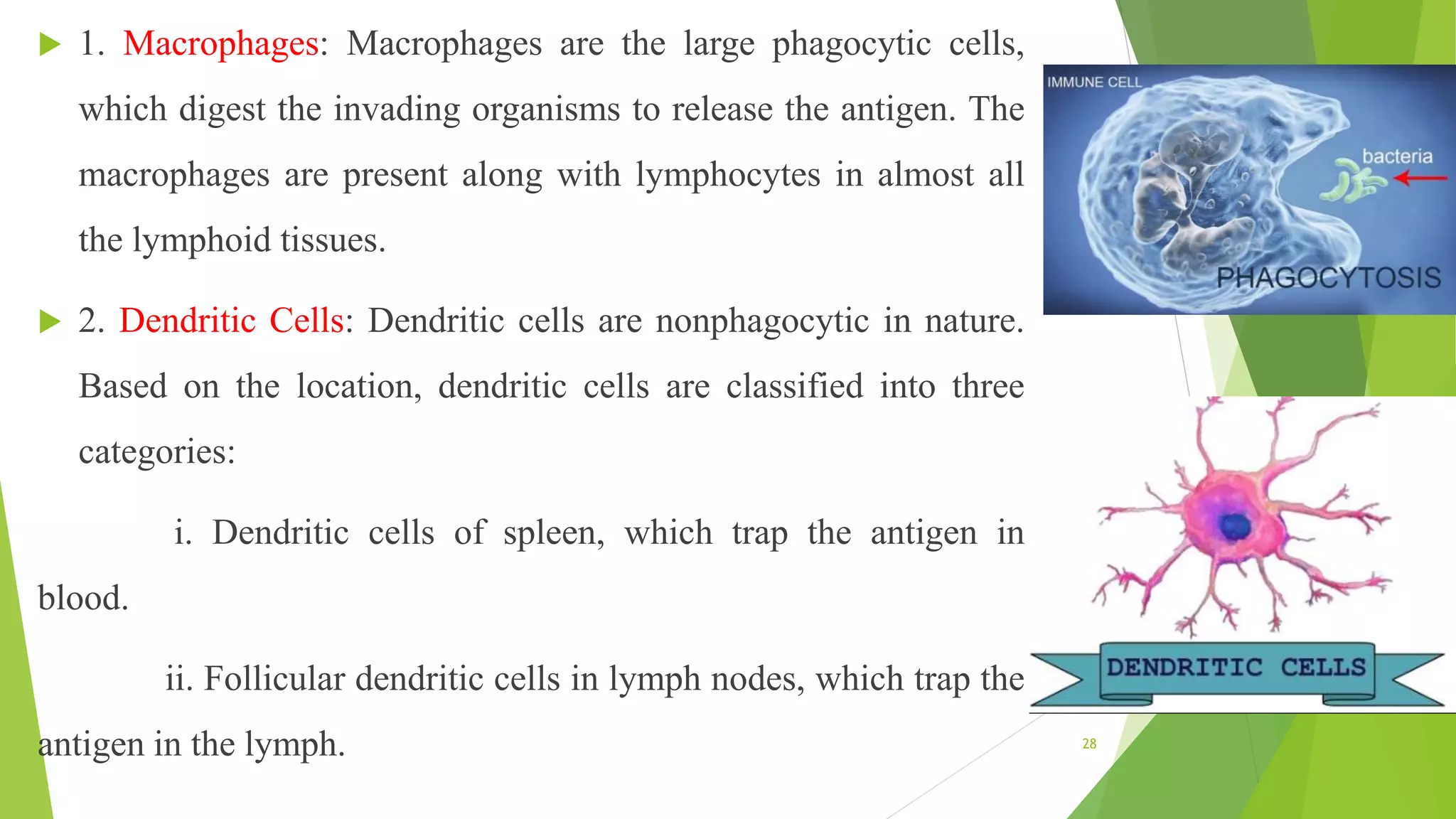 Immunology | PPTX | Infectious Diseases | Diseases and Conditions