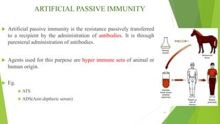 Immunology | PPTX
