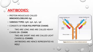 Immunology | PPT