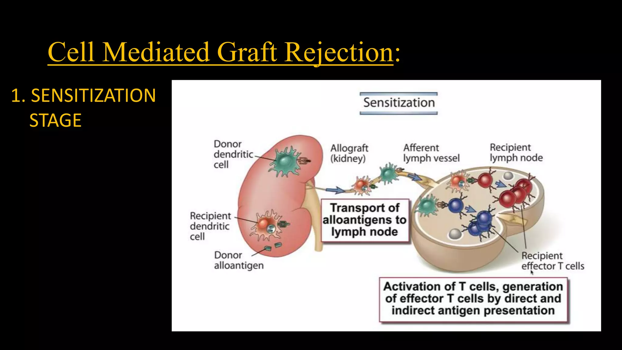 Immunological Basis of Graft Rejection | PPTX