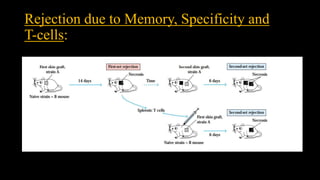 Immunological Basis of Graft Rejection | PPTX