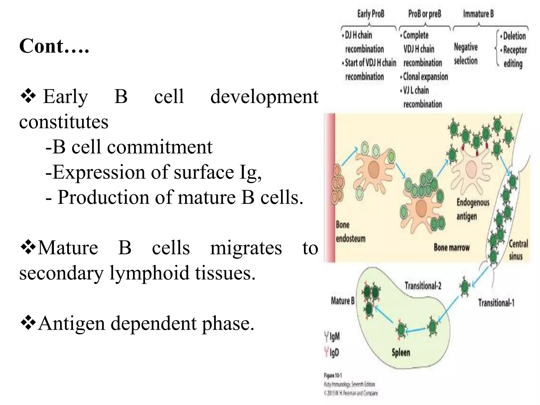 IMMUNOLOGY.pptx