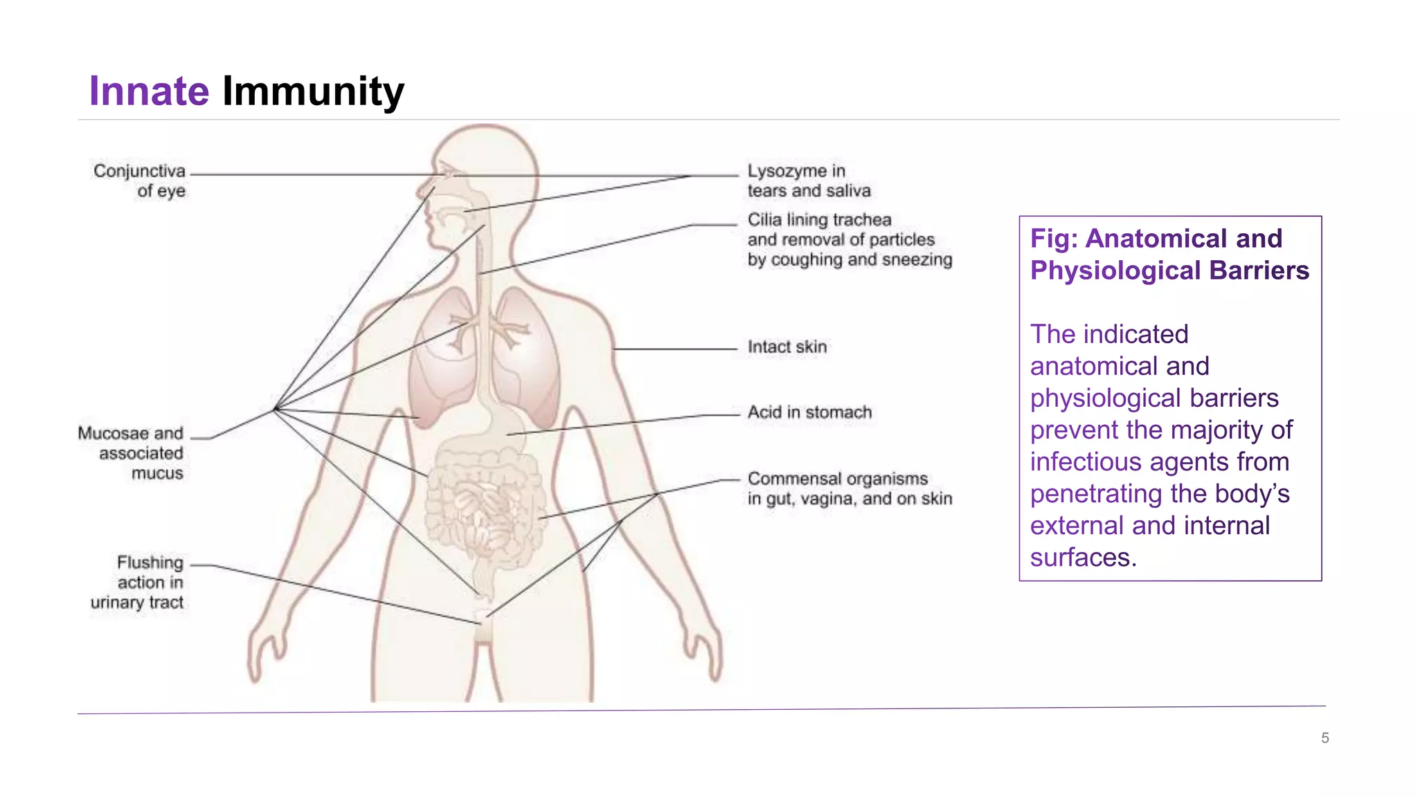 Basic Concepts of Immunology - by Ranjan Shaw | PPTX