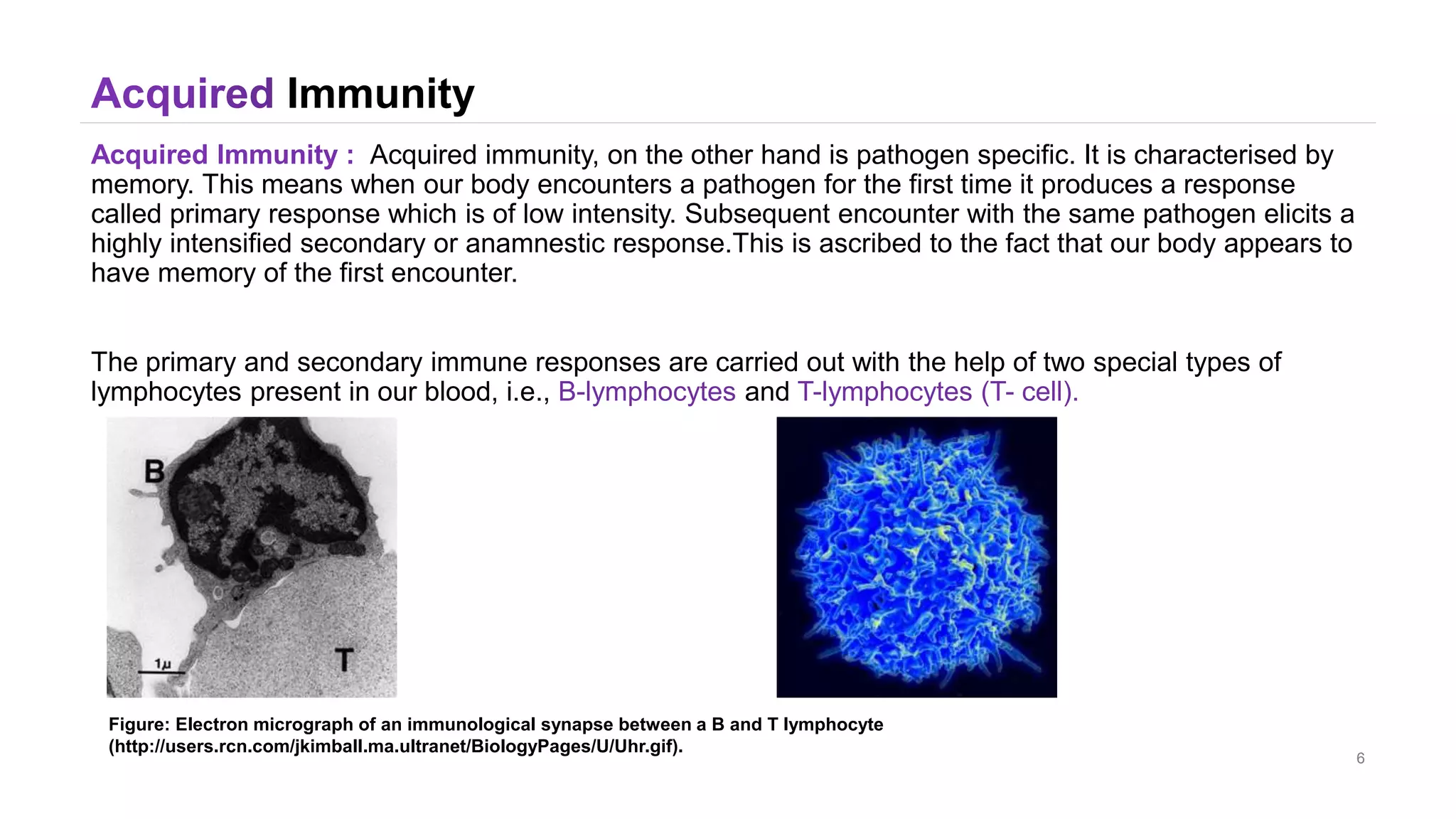 Basic Concepts of Immunology - by Ranjan Shaw | PPTX