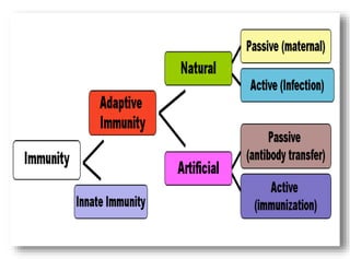 Immunology.ppt