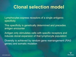 Immunology. cell biology immunology cell | PDF