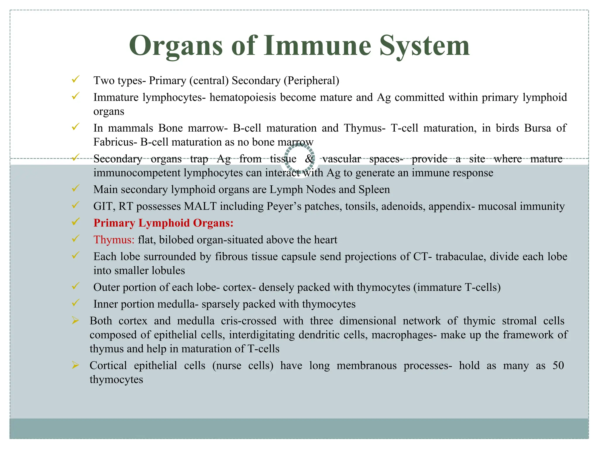 immunology.pdf immunity immune system mechanisms | PDF