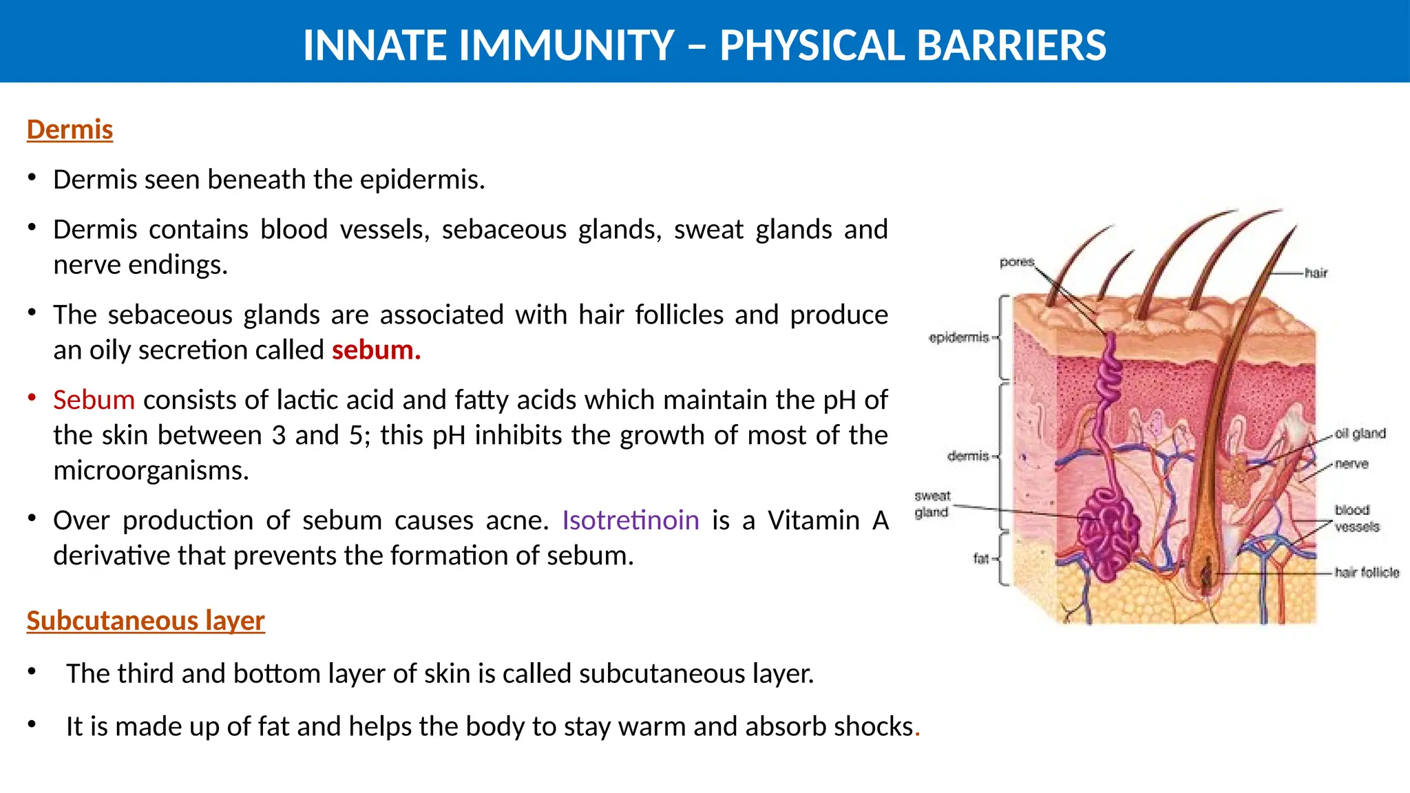 Innate Immunity - Immunology Exam Point of View | PPTX