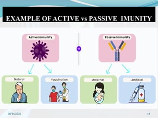 IMMUNOLOGY and Its Types, Preventive, Therapeutic and diagnostic ...