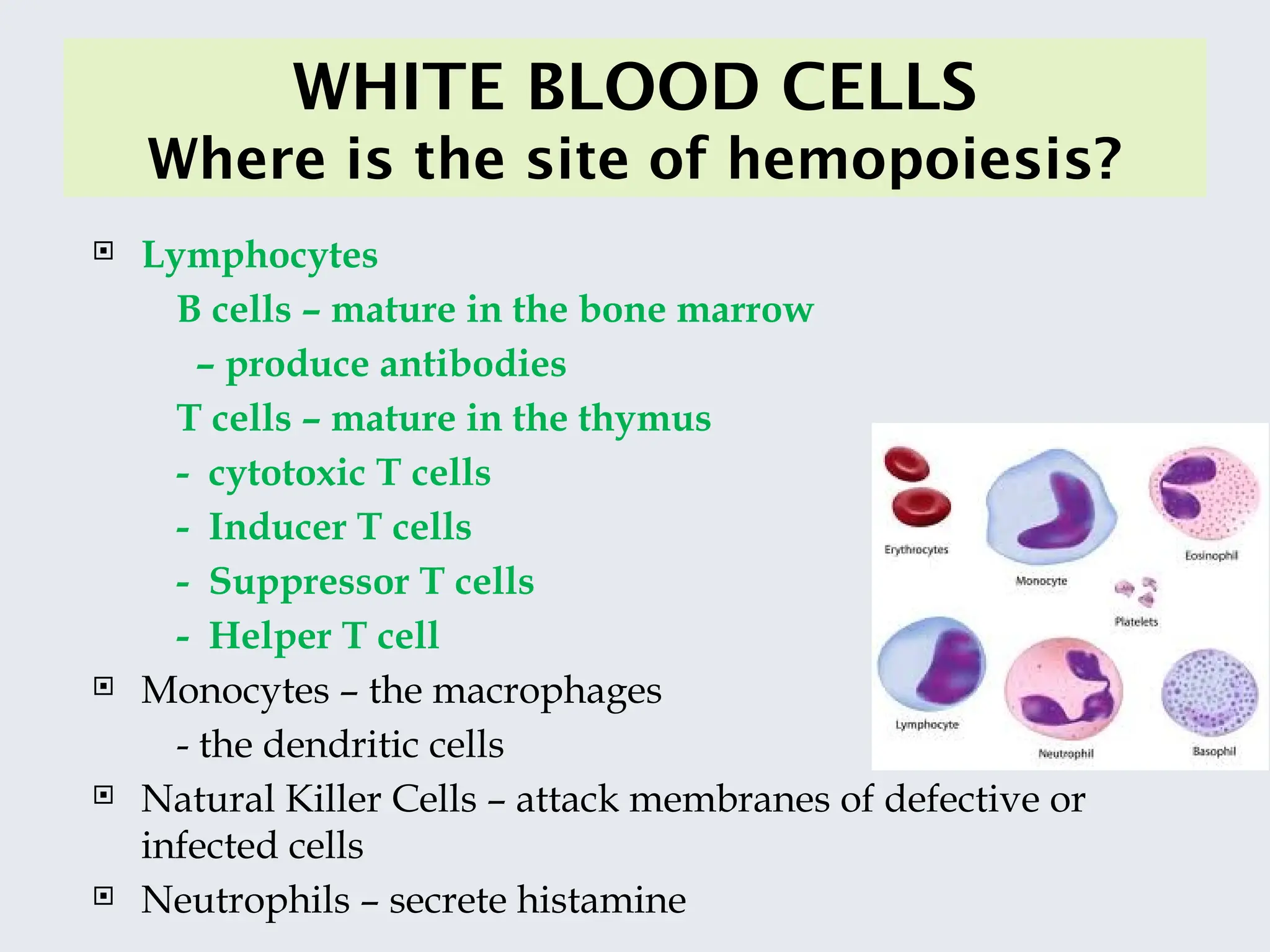 Health and Medicine - IMMUNOLOGY- Structure and Function.pptx