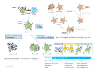 IMMUNOLOGY-basics.pdf