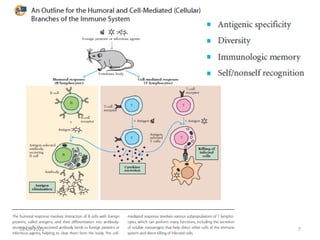 IMMUNOLOGY-basics.pdf