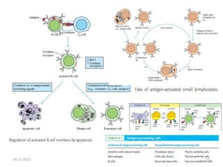 IMMUNOLOGY-basics.pptx
