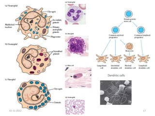 IMMUNOLOGY-basics.pptx