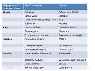 IMMUNOLOGY-basics.pptx