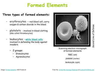Immunology-Basics-Biology-Lecture-PowerPoint-VMCct.pptx