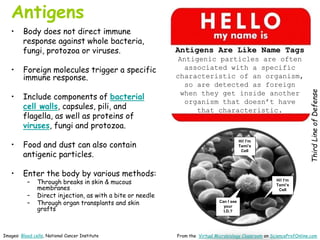 Immunology-Basics-Biology-Lecture-PowerPoint-VMCct.pptx