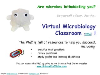 Immunology-Basics-Biology-Lecture-PowerPoint-VMCct.pptx