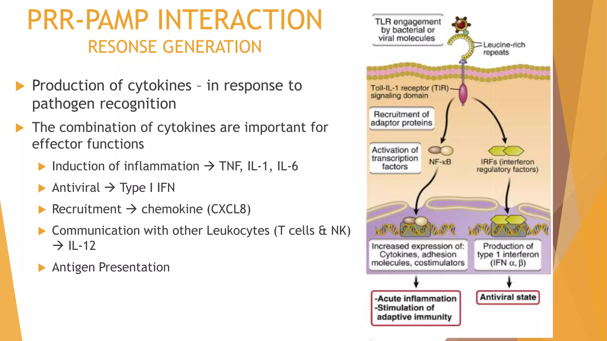 Immunology - Final Exam.pptx