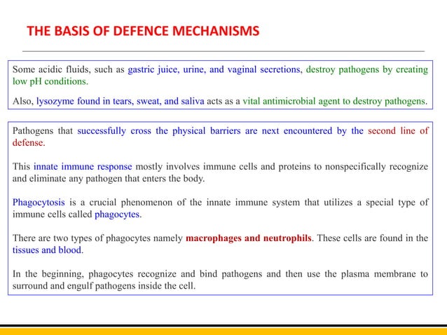 IMMUNOLOGY - HISTORY - BASIC DEFENCE MECHANISM - CELLS AND ORGANS ...