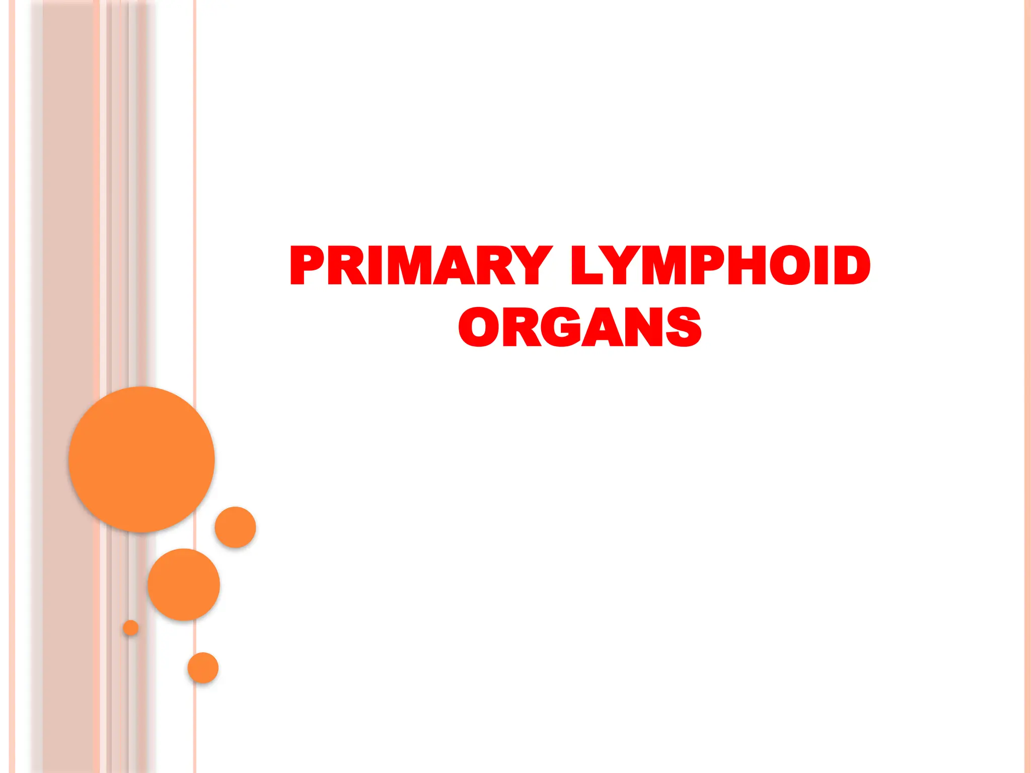 Immunology-primary lymphoid Organs system | PPTX