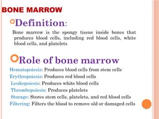 Immunology-primary lymphoid Organs system | PPTX