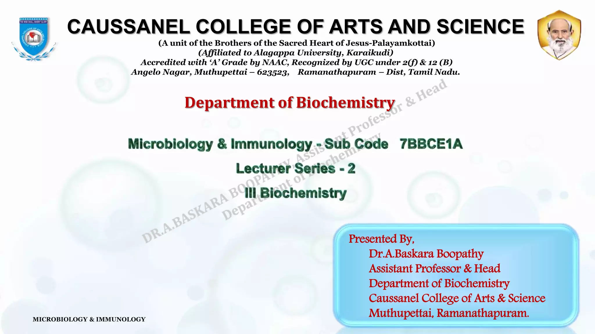 Immune System Ppt 9360