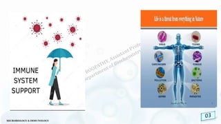 Immune System | PPT