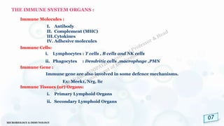 Immune System | PPTX