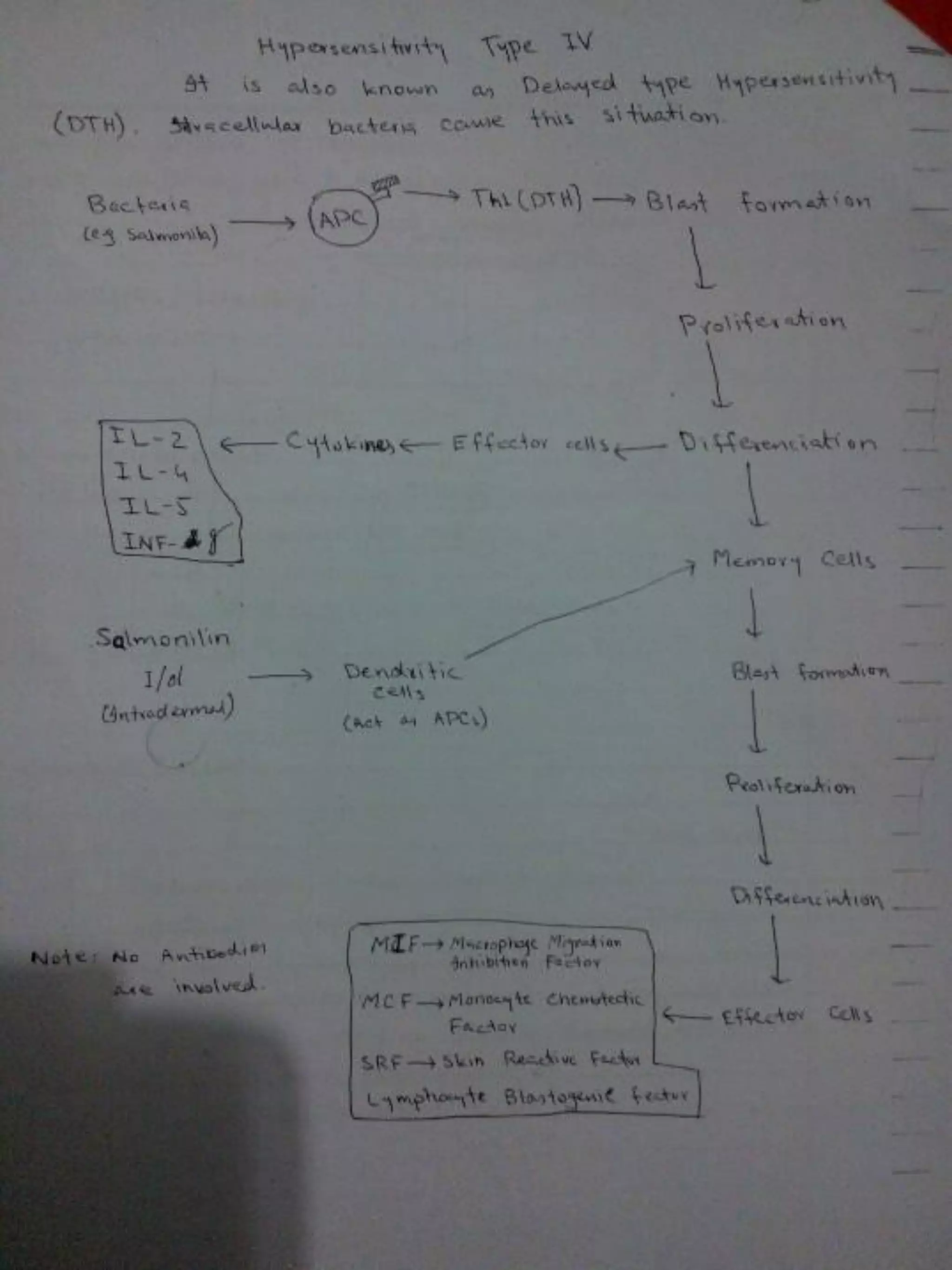 Immunology all Notes | PDF