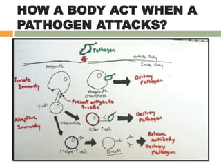 Immunology and allergy | PPTX