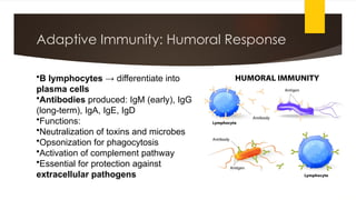 Immunology and Molecular Genetics Slides.pptx