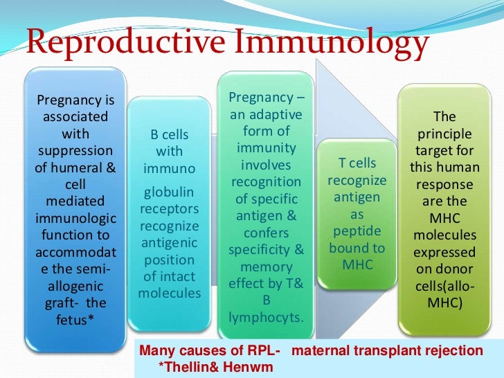 Immunology and recurrent pregnancy loss