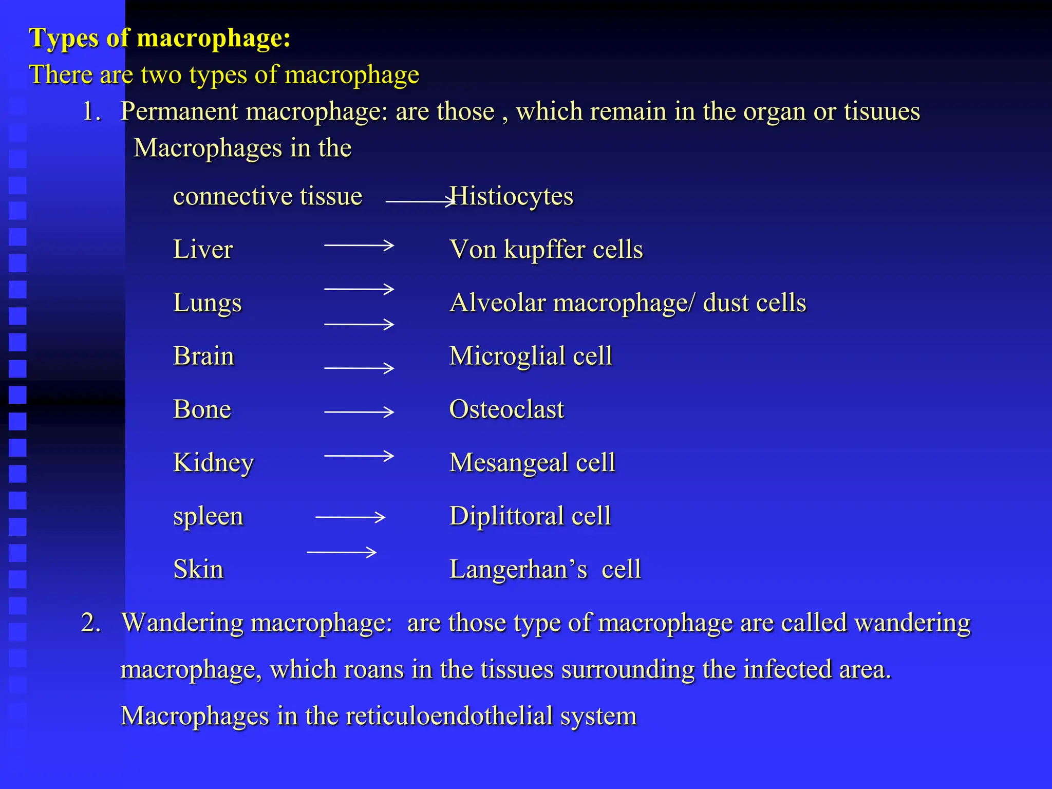Immunology and Serology.ppt