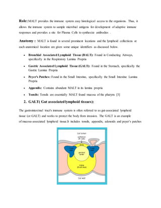 Gut Associated Lymphoid Tissue